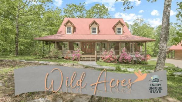 Wooded Retreat With Game Area And Hot Tub - Georgia