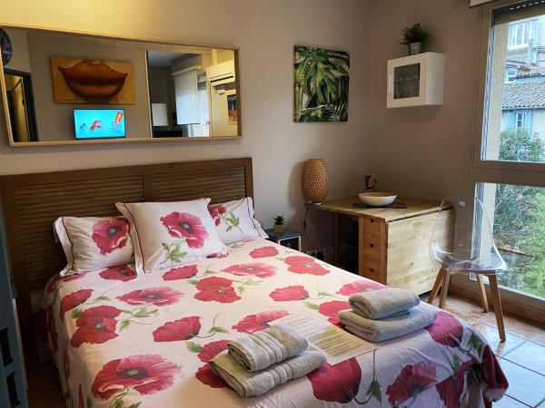 Meublé Tourisme Carmes 2 éToiles, Entrée Autonome,wifi, Climatisé, Petit Parking Privé - Blagnac