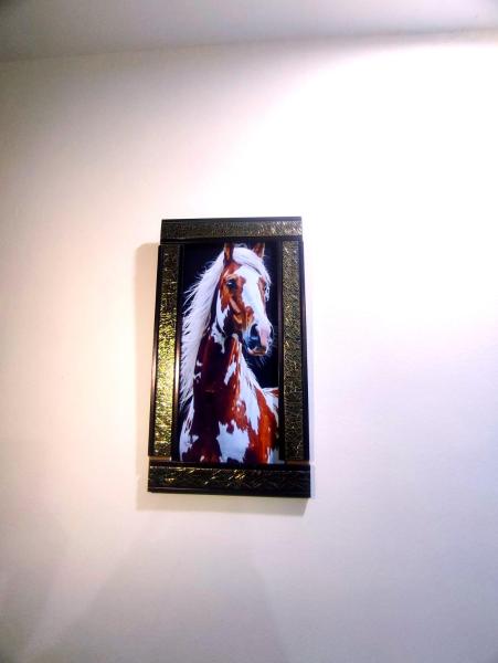 Staymex Studio - Pakistan