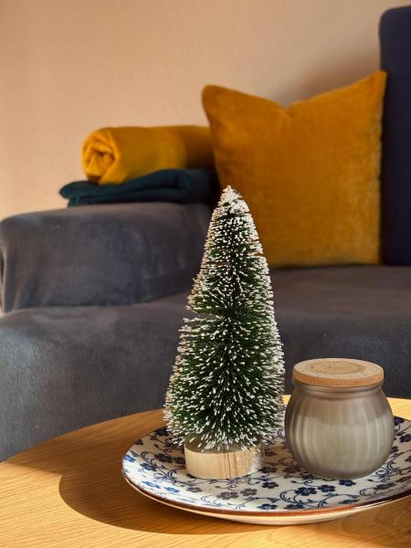 Apartment Old Stone - Mostar