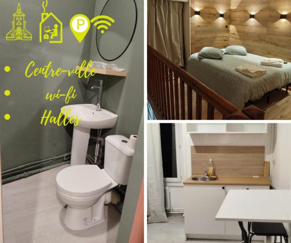 Bois Dormant-cosy-t2-wifi-centre-ville-parking - Vendée