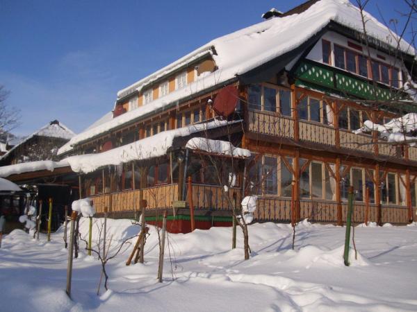 Apartment Wannenhof Historisch By Interhome - Menzenschwand