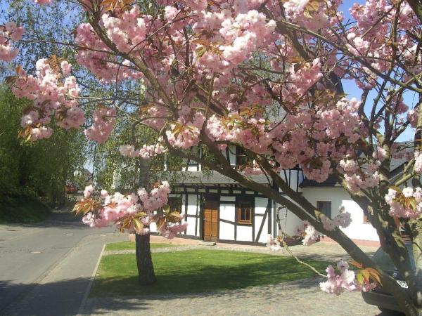 Holiday Home Romantisches Fachwerkhaus Zwischen Rhein Und Mosel By Interhome - Boppard
