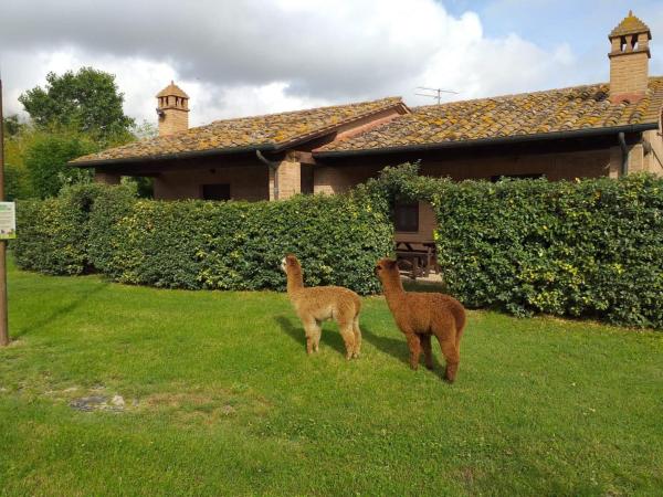 Holiday Home Fabelhaftes Ferienhaus 8 Betten By Interhome - Castiglione del Lago