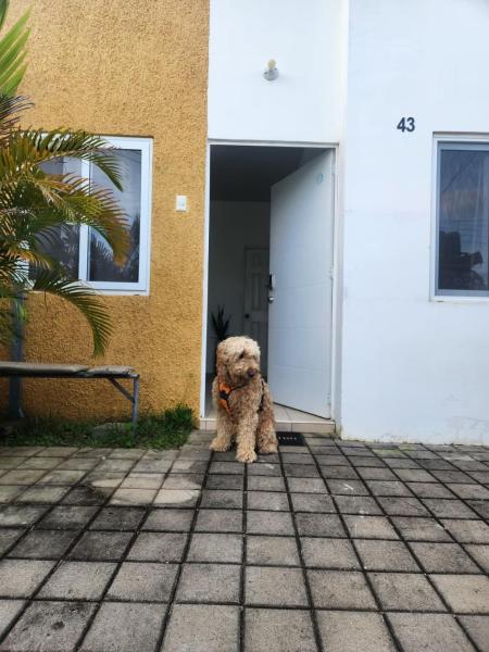 Vista A Los Volcanes - El Salvador