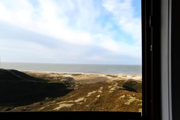Strandhafer - Hörnum (Sylt)