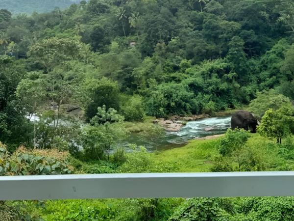 Skybz - Mankulam - Kerala