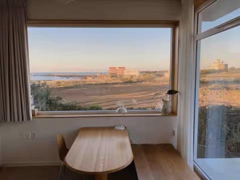 Your Spring - 済州