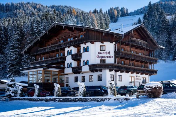 Pension Schneerose - Alpbach