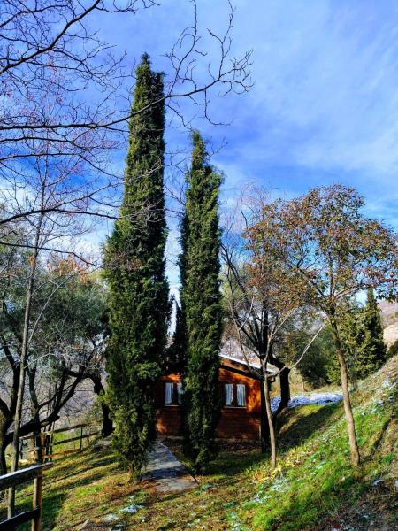 Alixares De Güéjar Sierra - Bungalows - Güejar Sierra