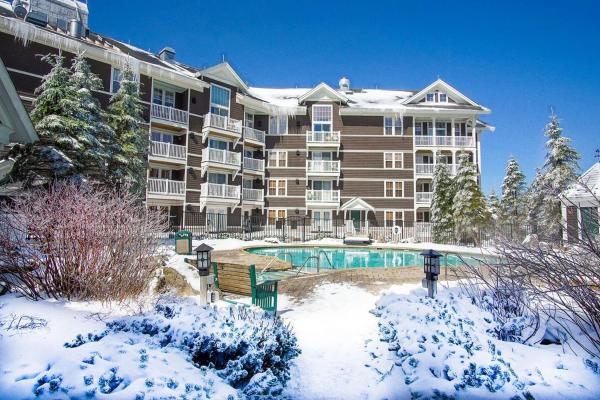 Allegheny Springs 414: Junior Studio Slopeside - Snowshoe, WV