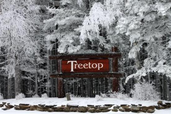 Tree Top 39, 2 Bedroom Townhome Slopeside - Snowshoe, WV
