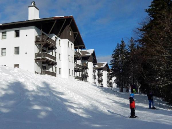 Whistlepunk 45- Modern Comfort With Mountain Charm-1 Bedroom - Snowshoe, WV