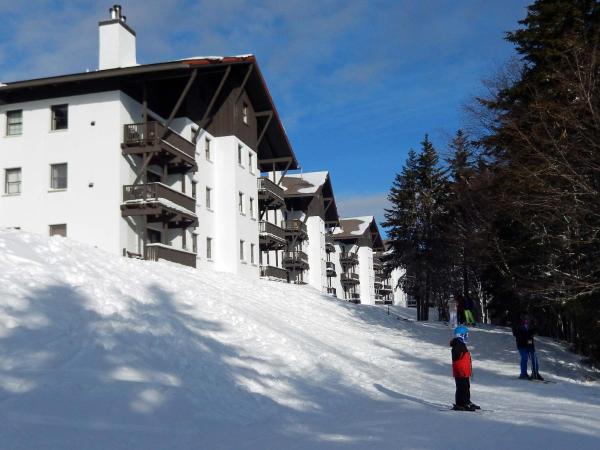 Whistlepunk #31: 2 Bedrooms, 2 Bath: Slope Side, Central Location Wood Fireplace - Snowshoe, WV