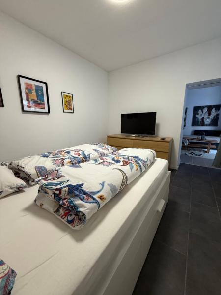 City-apartment - Toplage - Saarbrücken