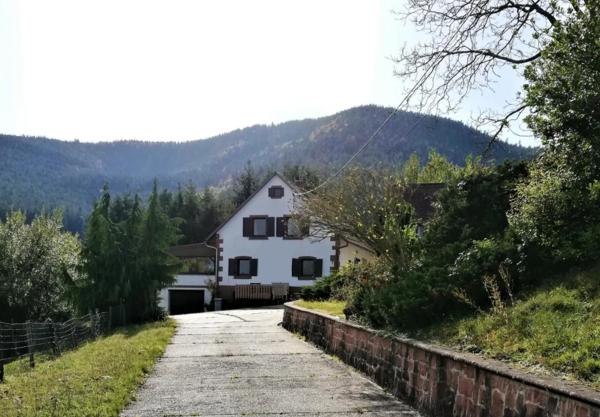 Gîte Des Abeilles Du Kohlberg - Alsace