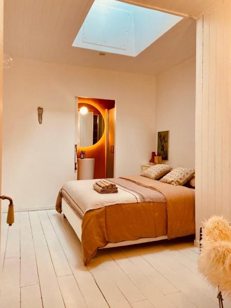Historic Center - 5 Mins Airport-airbus-meett - Colomiers