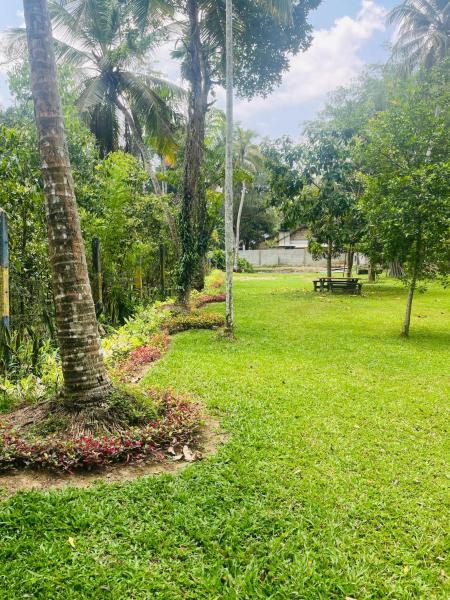 Calm Adventure Resort - Sri Lanka