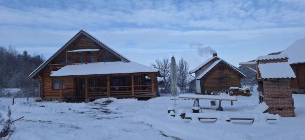 Farmhouse Rosehip Flower Romania Brasov - Râșnov