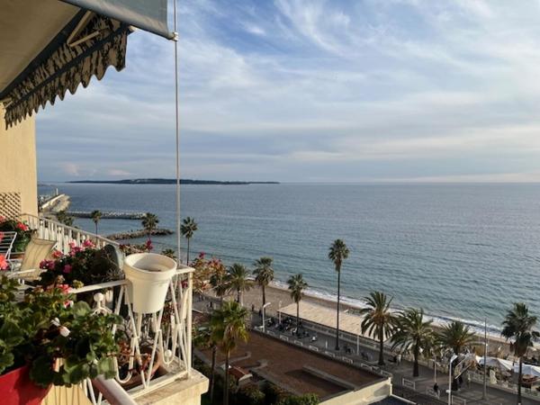 Rocamare, La Vie Est Belle! - Cannes