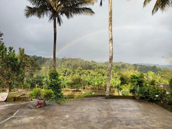 Nethras Homestay Coorg - コダグ