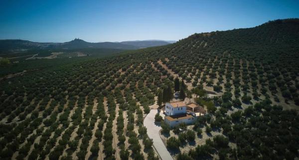 Casa Rural Fuente Serena - Alcaudete