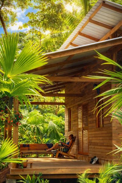 Madre Selva Eco Lodge - Choco