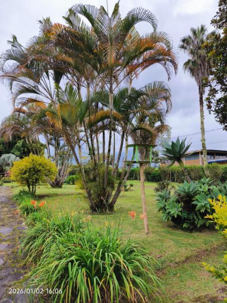 Hotel Campestre Sauzalito - Santa Rosa de Cabal
