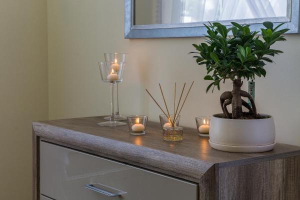 Apartament Zdrojowa 45 - Kudowa-Zdrój