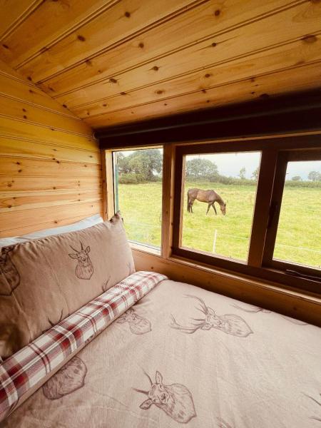 Cosy Cabin - Near Belfast International Airport - Northern Ireland
