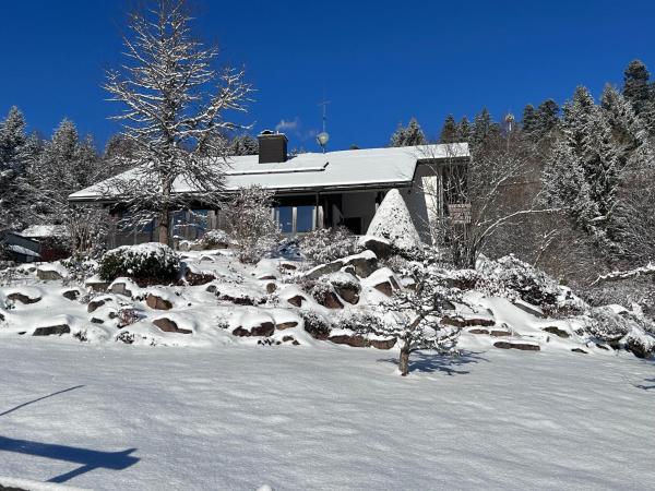 Haus Galerie St Blasien - Todtnau
