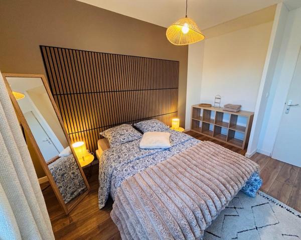 L'appartement Du Château - Mulhouse