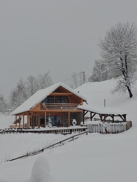 Cabana De Sub Mesteceni - Roumanie