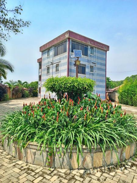 Shoebill Roost Posada - Uganda