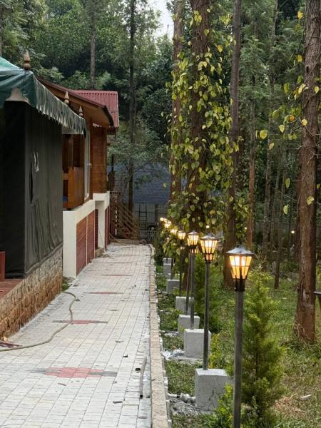 The Wild Deck - Chikmagalur