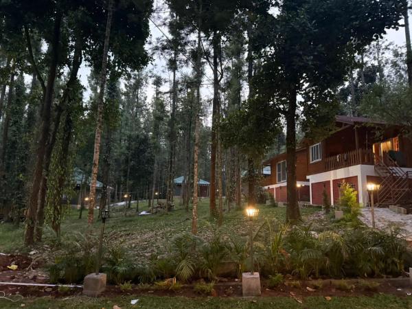 The Wild Deck - Chikkamagaluru - Chikmagalur