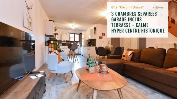 Gîte Cocon D Alsace - Garage Inclus - Terrasses - Ribeauvillé
