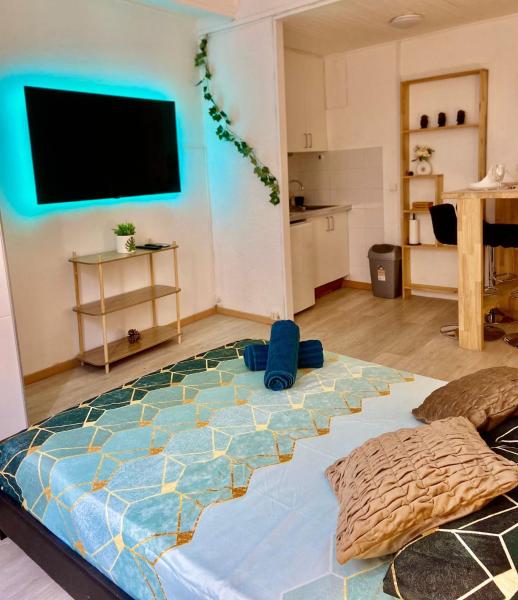 Studio Central Petit Michelet - Toulouse