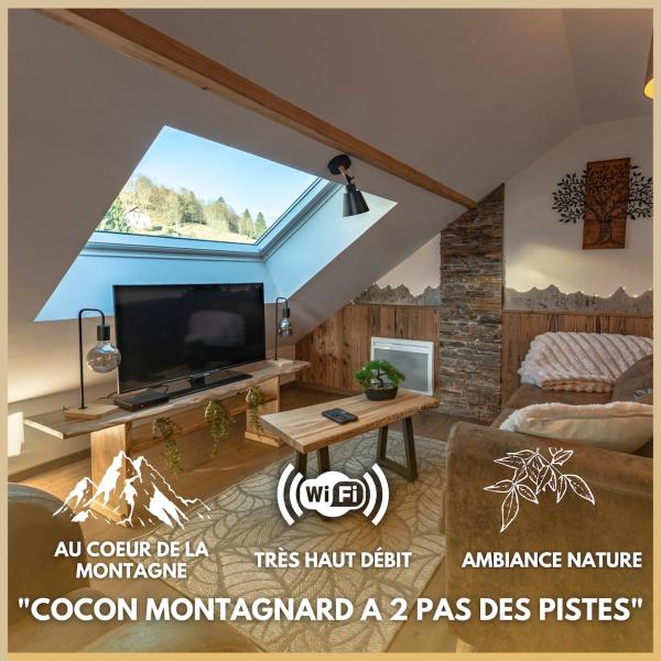 Le Nid Douillet Des Vosges - La Bresse