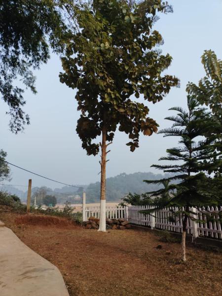 Mur Farm House - Sonapur