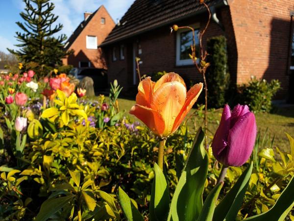 Ferienhaus Im Kanalblick - Rendsburg