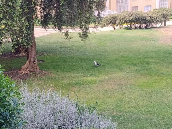 Playa Y Bosque Mar , Departamento En Horcón - Quintero