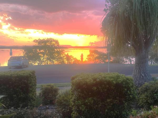 The Lakeside Garden - Forster