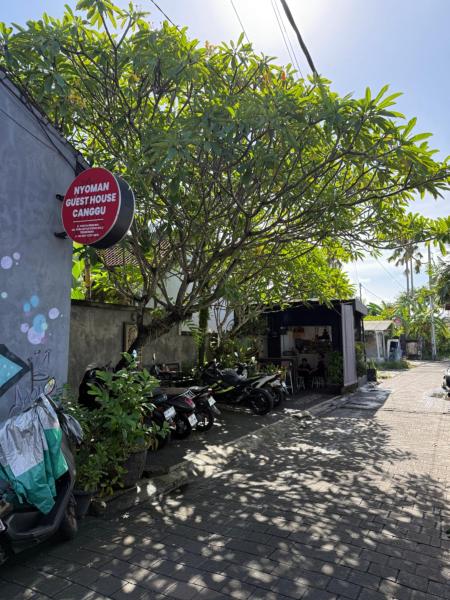 Nyoman Guesthouse Canggu - Canggu