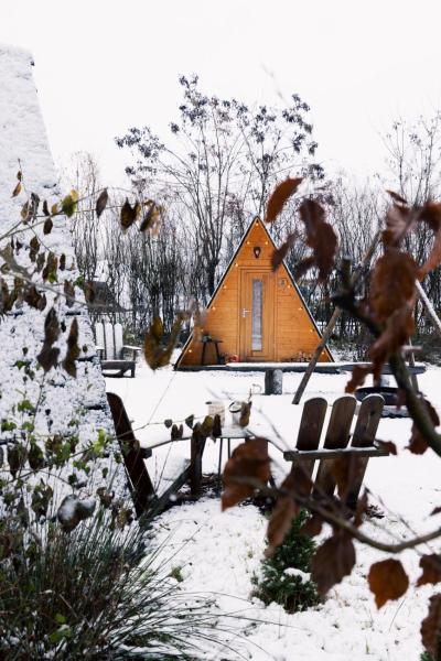 Scandinavisch Boshuisje - Eibergen