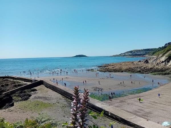 Ocean Blue - Looe