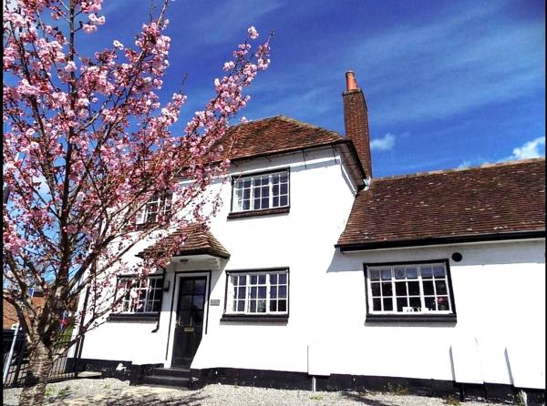 Three-time Award Winning 1700's Grd 2 Listed Cottage Near Stonehenge - Amesbury