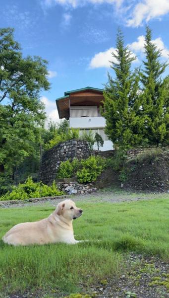 Jeoli Riverside Cottages - Kathgodam