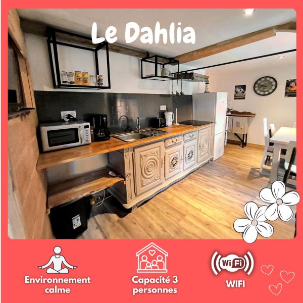 Le Dahlia - Jardin De Marie - Deux-Sèvres