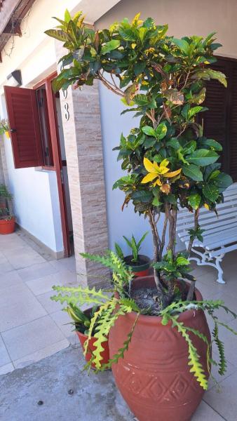 Monoambiente Flores Del Cielo - Federación
